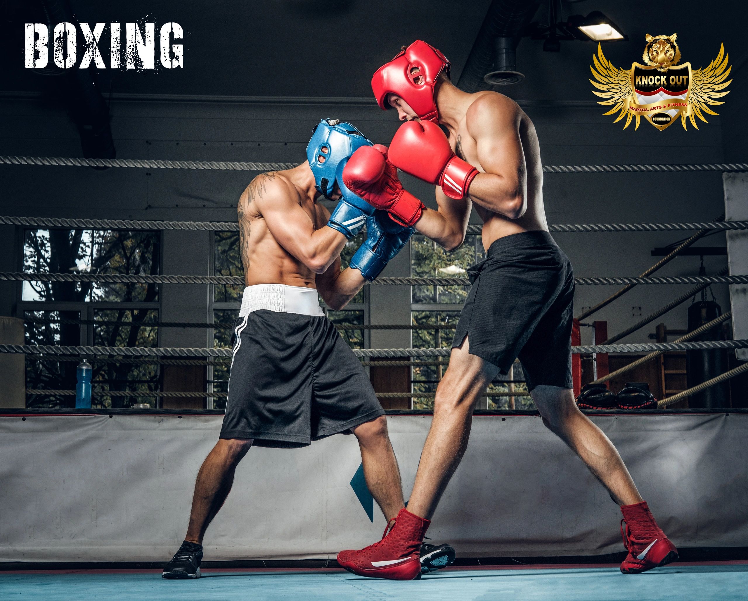 TOP 10 BOXING ACADEMY IN INDIA
